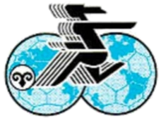 1991 FIFA Women’s World Cup | Football Ranking Wiki | Fandom