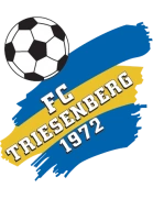 FC Triesenberg | FootPedia Wiki | Fandom