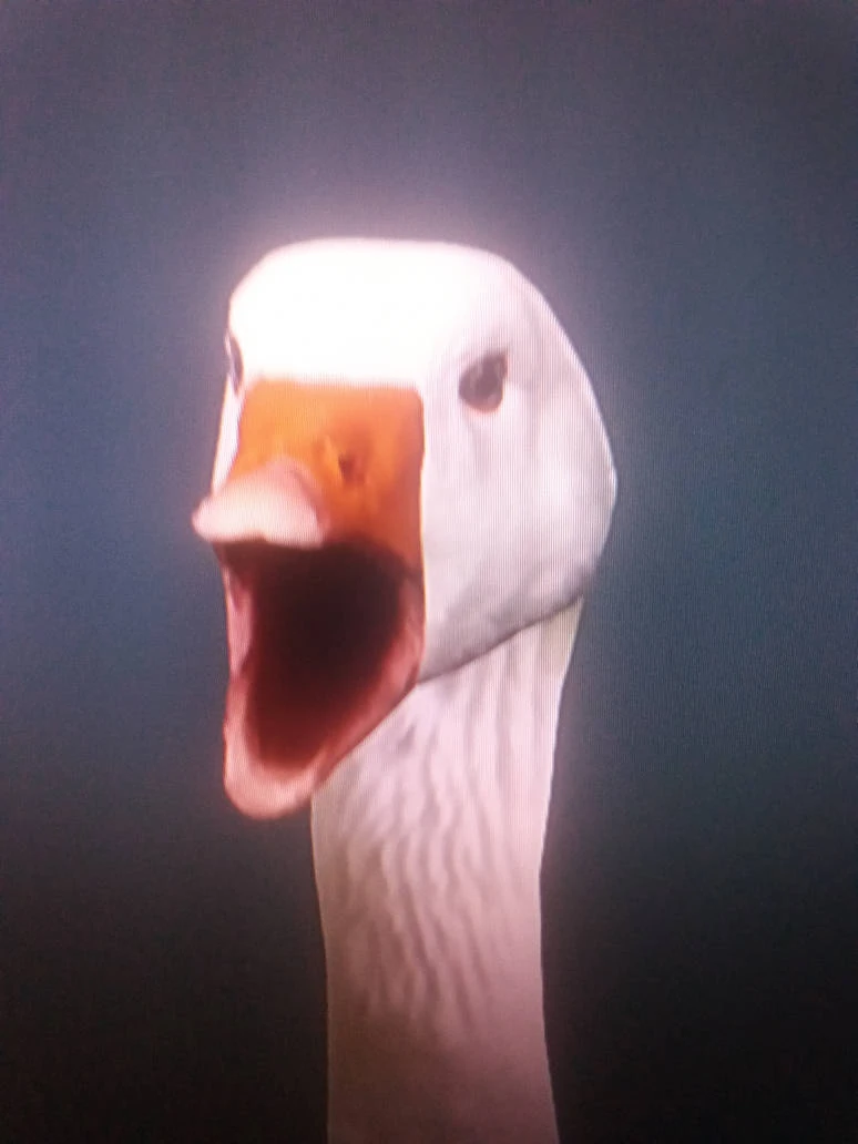 Goose | FOR*1 Wiki | Fandom