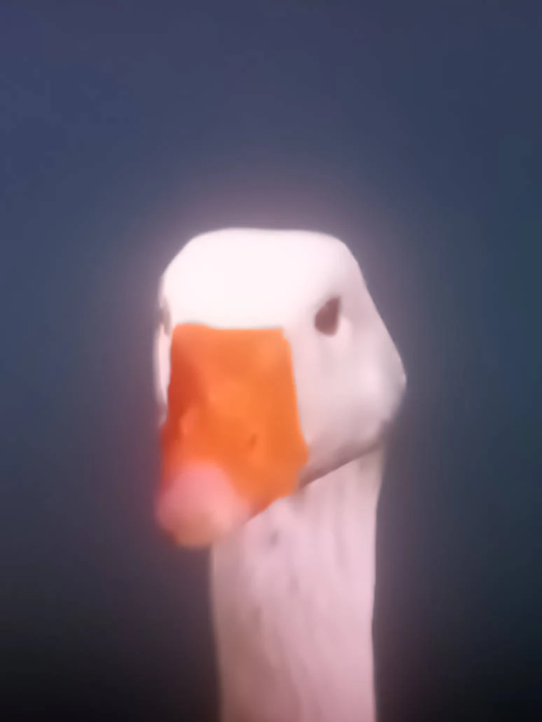 Honk The Goose/Geese | FOR*1 Wiki | Fandom