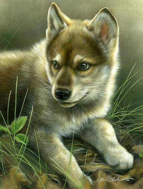 Pepper | Forbidden Knowledge Wiki | Fandom