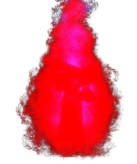 Pink Flame Barb | Forbidden Lair Wiki | Fandom