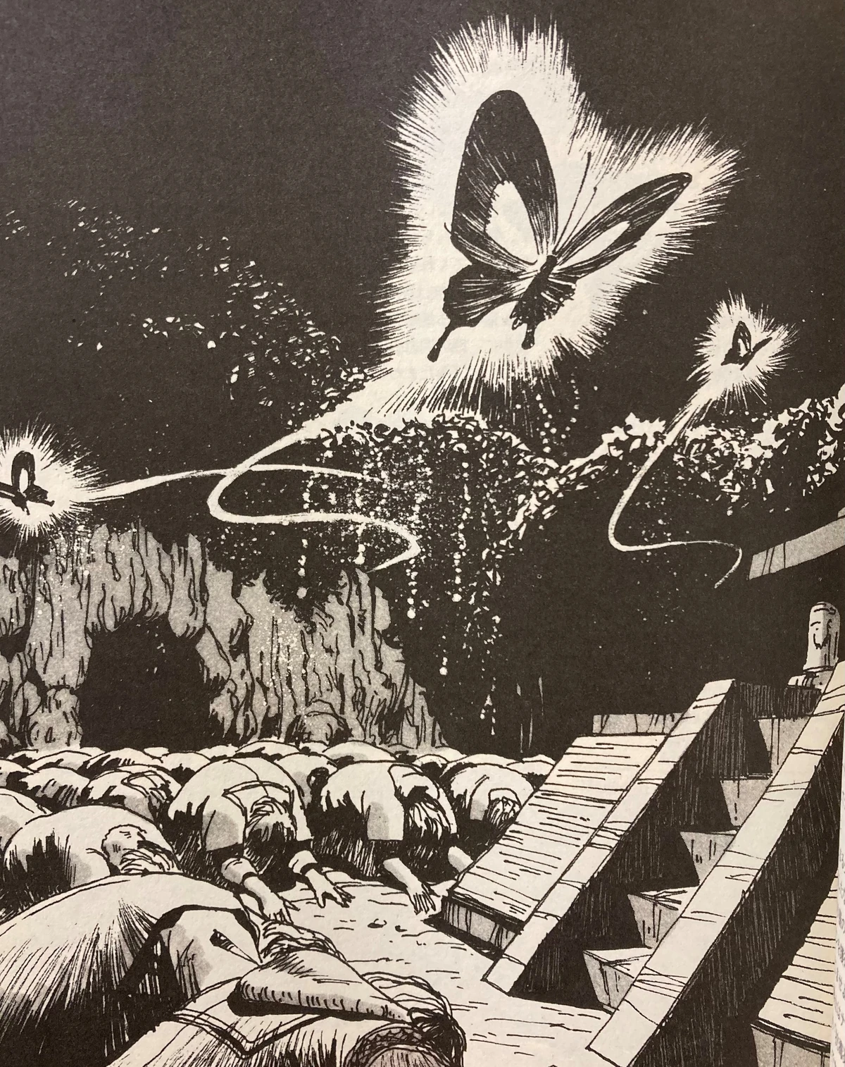 Butterfly Tribe | Forcelia Wiki | Fandom