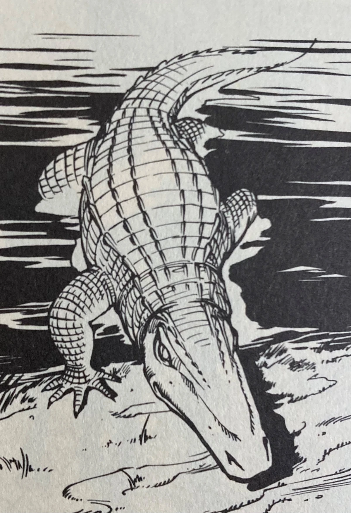 Fauna/Flora | Forcelia Wiki | Fandom