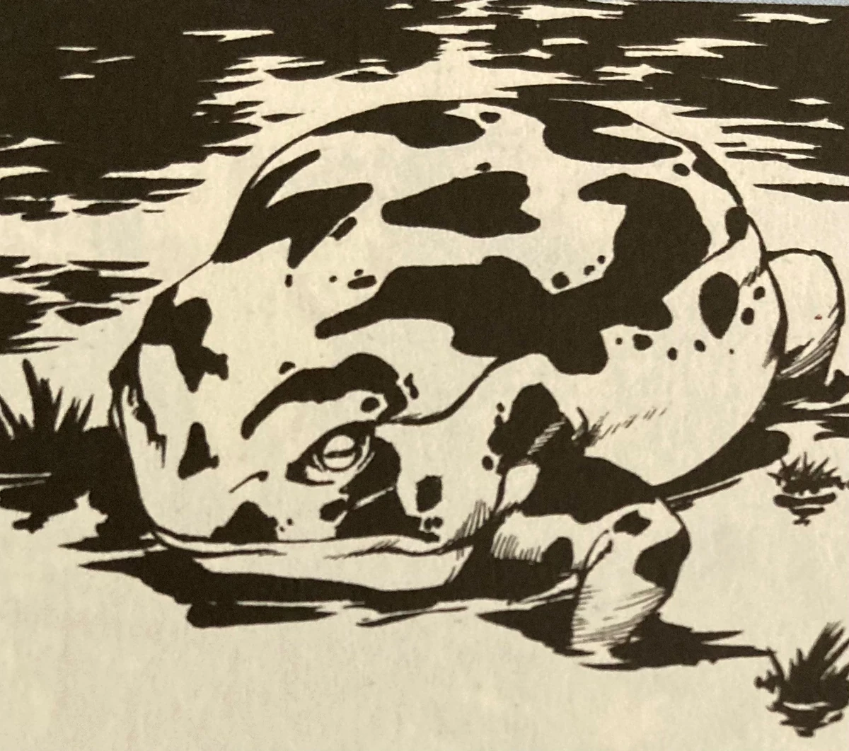 Poison Toad | Forcelia Wiki | Fandom