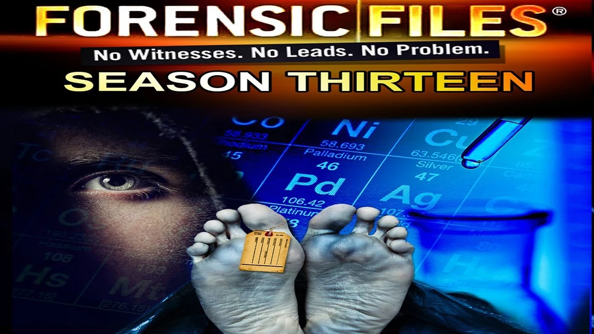 Season 13 | Forensic Files Wiki | Fandom