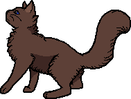Ratfrost | Forest Cats Wiki | Fandom
