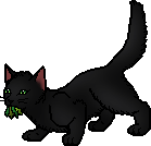 Breezepaw | Forest Hearts Wiki | Fandom