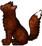 Foxtail | Forest Hearts Wiki | Fandom