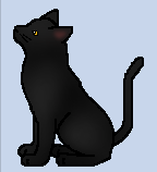 Bert | Forest Hearts Wiki | Fandom