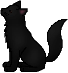 Nightpelt | Forest Hearts Wiki | Fandom