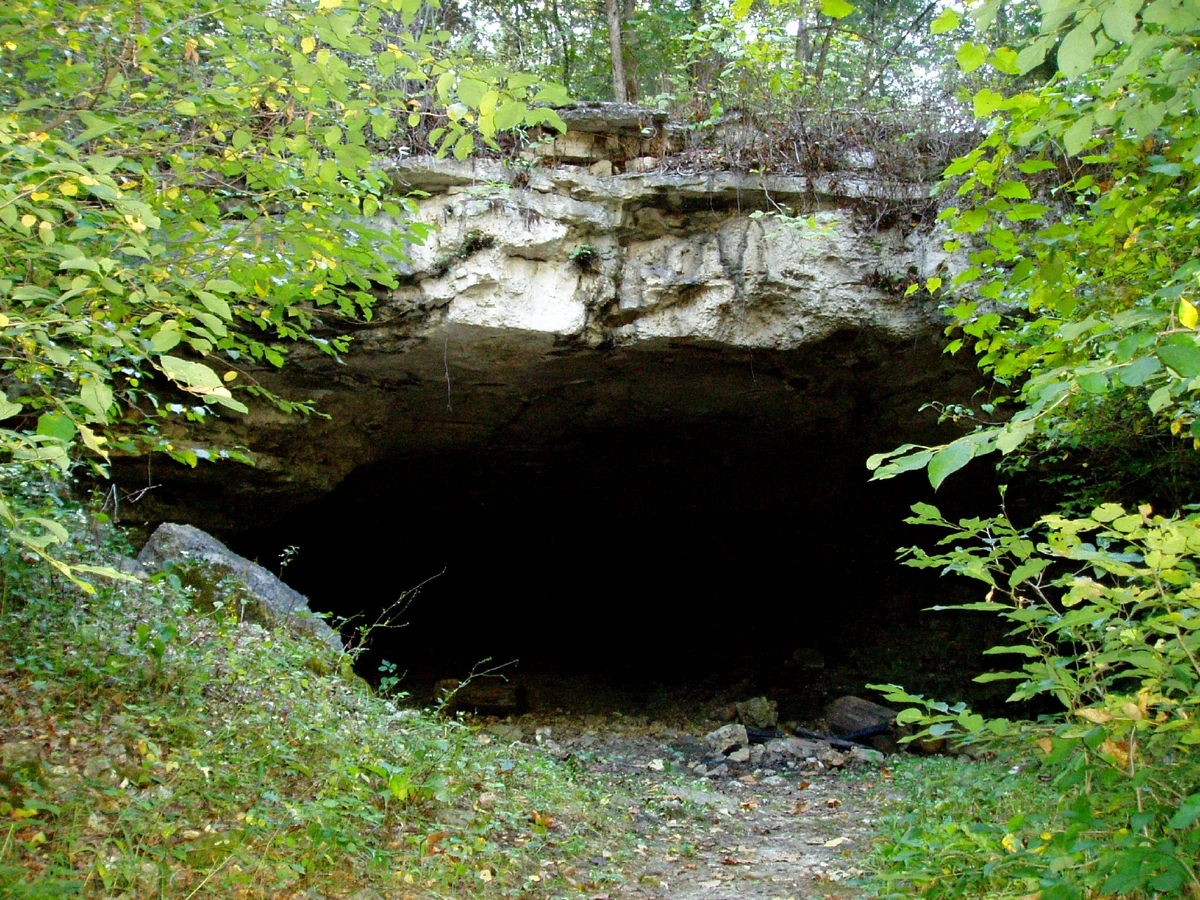 The Cave | Forest Hearts Wiki | Fandom