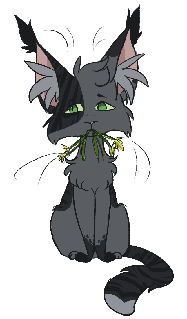 Crowpaw | Forest of cats Wiki | Fandom