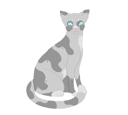 Cloudsong | Forest of cats Wiki | Fandom