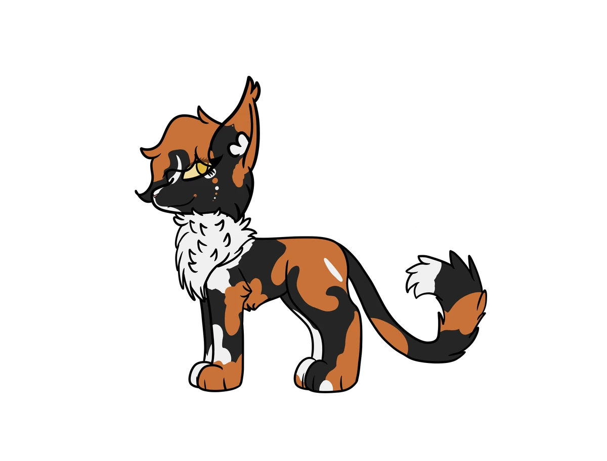 Spottedstar | Forest of cats Wiki | Fandom