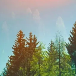 The Forest Wiki | Fandom