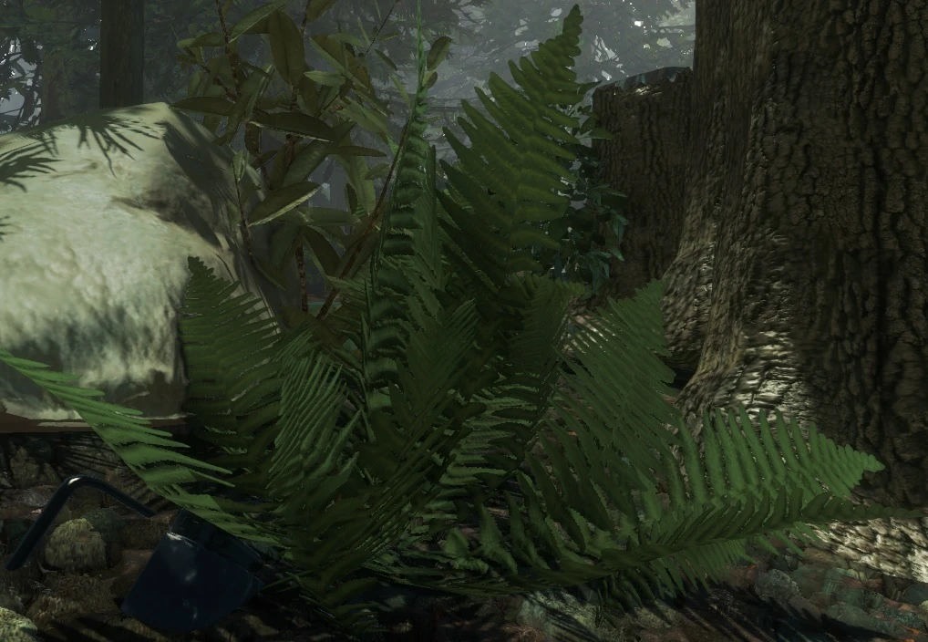 Farn | The Forest Wiki | Fandom