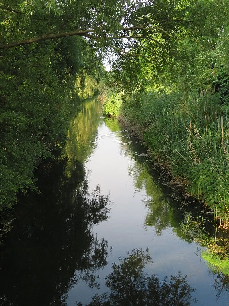 Stream | The Forest Wiki | Fandom