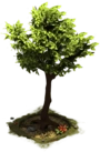 Tree | Forge of Empires Wiki | Fandom