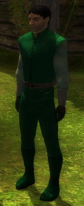 Man in Green | Forgotten Realms Personae Wiki | Fandom