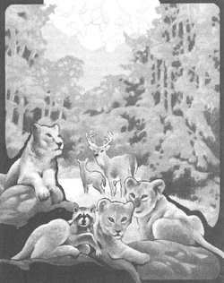 Frohe Jagdgründe | Forgotten Realms Wiki | Fandom