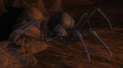 Phase Spider | Forgotten Realms Personae Wiki | Fandom