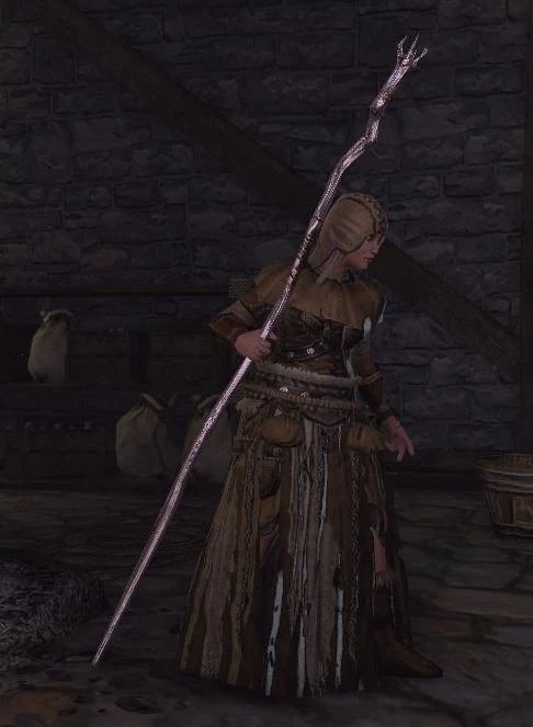 Beast Trainer | Forgotten Realms Personae Wiki | Fandom