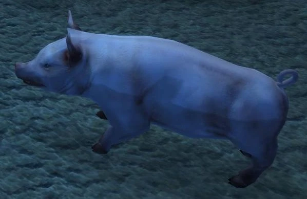 Pig | Forgotten Realms Personae Wiki | Fandom