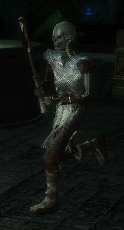 Tattered Skeleton | Forgotten Realms Personae Wiki | Fandom