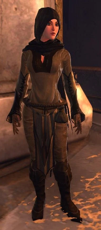 Mysterious Traveller | Forgotten Realms Personae Wiki | Fandom