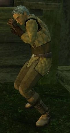 Ian Harman | Forgotten Realms Personae Wiki | Fandom