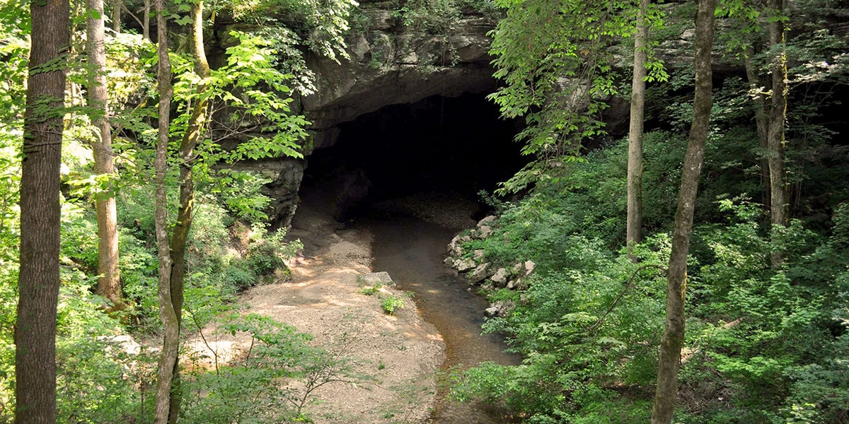 Cragmaw Hideout | Forgotten Realms wiki | Fandom