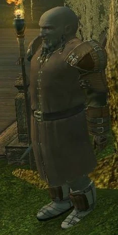 Gray Dwarf | Forgotten Realms Personae Wiki | Fandom