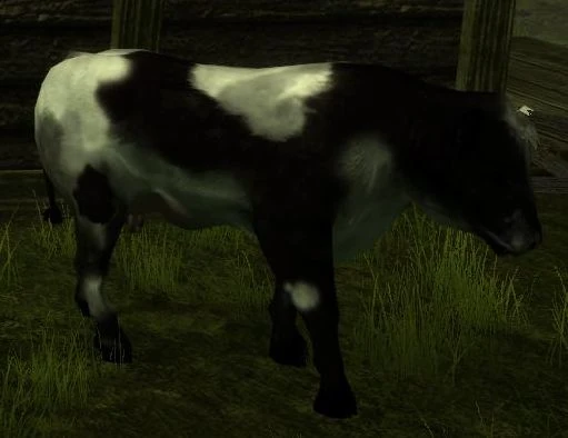 Cow | Forgotten Realms Personae Wiki | Fandom