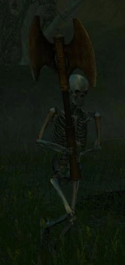 Skeleton | Forgotten Realms Personae Wiki | Fandom