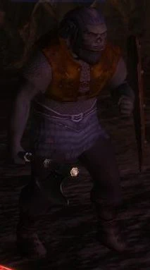 Orc Commander | Forgotten Realms Personae Wiki | Fandom