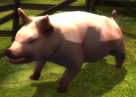 Lewy's Hog | Forgotten Realms Personae Wiki | Fandom