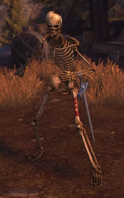 Decrepit Skeleton | Forgotten Realms Personae Wiki | Fandom