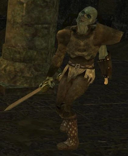 Zombie Adventurer | Forgotten Realms Personae Wiki | Fandom