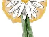 Kategorie:Götter | Forgotten Realms Wiki | Fandom