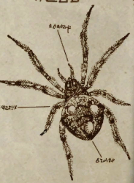 Mercury Spider | Forgotten Hill Wiki | Fandom