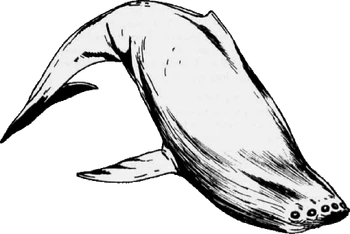 Kindori | Forgotten Realms Wiki | Fandom