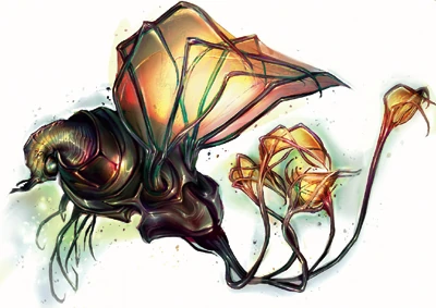 Trilloch | Forgotten Realms Wiki | Fandom