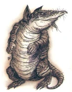 Duster | Forgotten Realms Wiki | Fandom