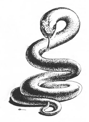 Boalisk | Forgotten Realms Wiki | Fandom