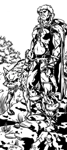 High Forest orc | Forgotten Realms Wiki | Fandom