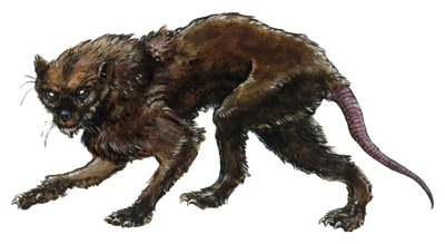 Vorr | Forgotten Realms Wiki | Fandom