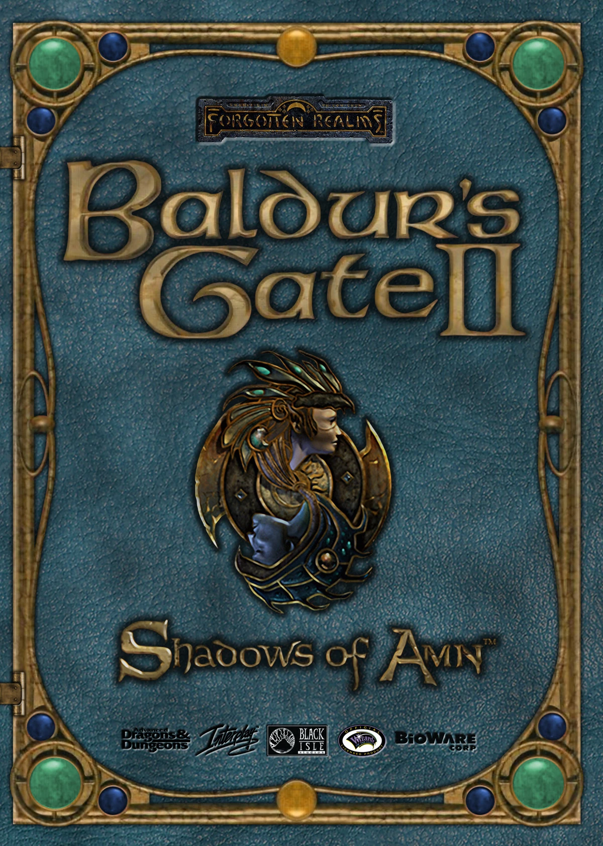 Baldur's Gate II: Shadows of Amn | Forgotten Realms Wiki | Fandom