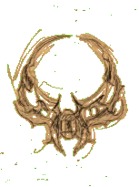 Circlet of Netheril | Forgotten Realms Wiki | Fandom