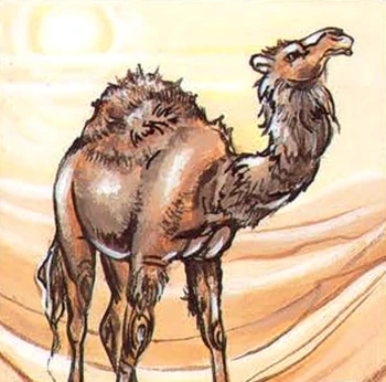 Camel | Forgotten Realms Wiki | Fandom